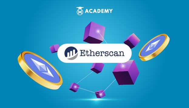 What is the Etherscan Platform and How Does it Work?