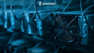 Mana yang Lebih Baik? Mining Farm vs Cloud Mining
