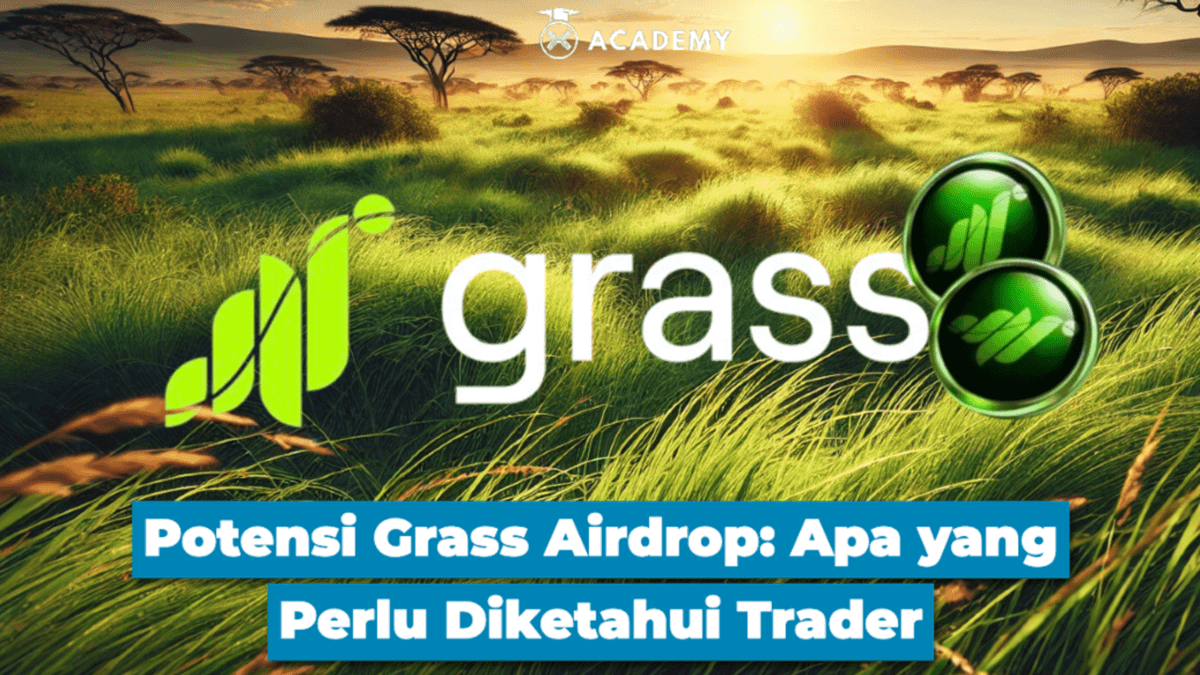 Potensi Grass Airdrop: Apa yang Perlu Diketahui Trader