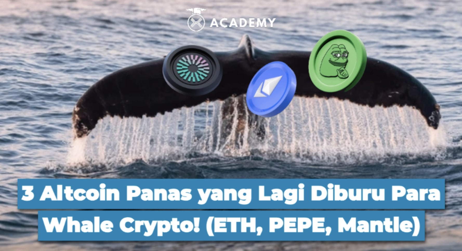 3 Altcoin Panas yang Lagi Diburu Para Whale Crypto!