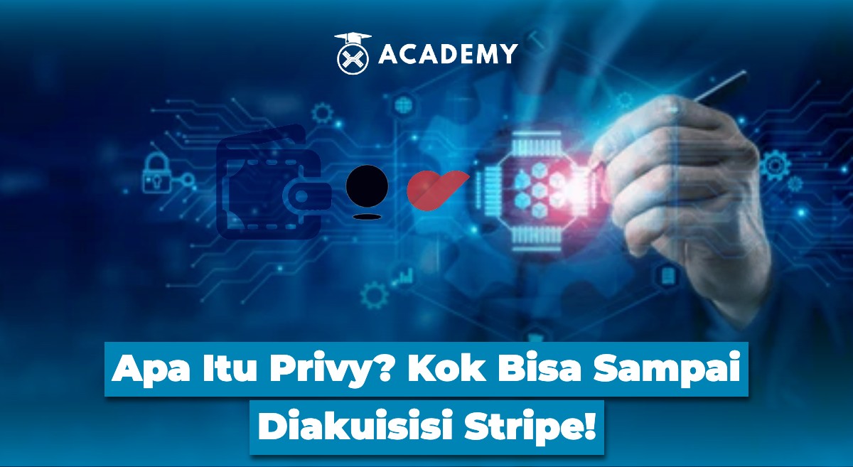 Apa Itu Privy? Kok Bisa Sampai Diakuisisi Stripe!