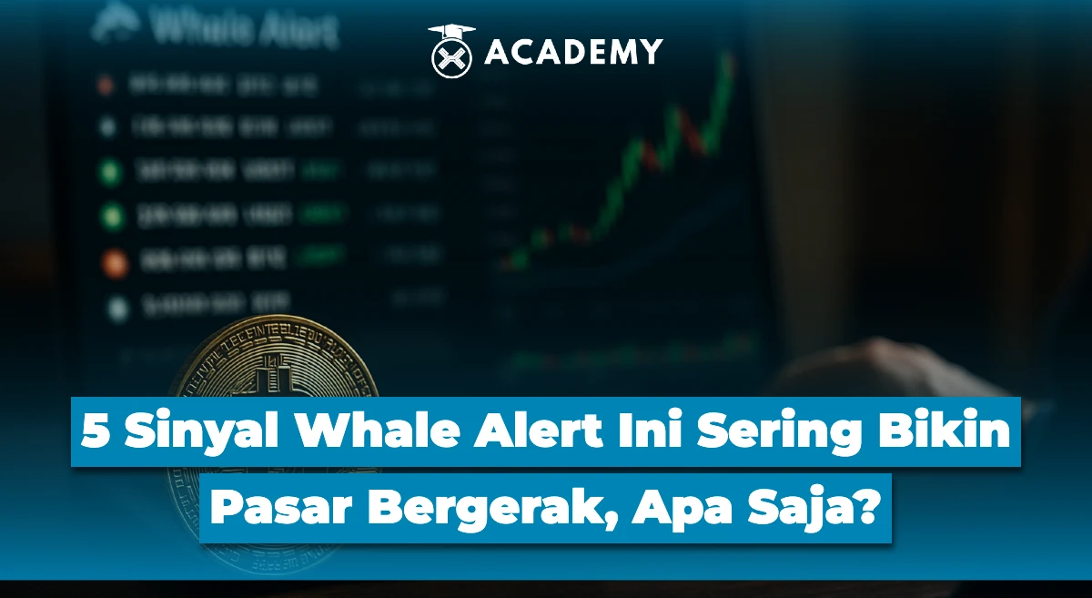 5 Tanda dari Whale Alert yang Harus Kamu Waspadai!