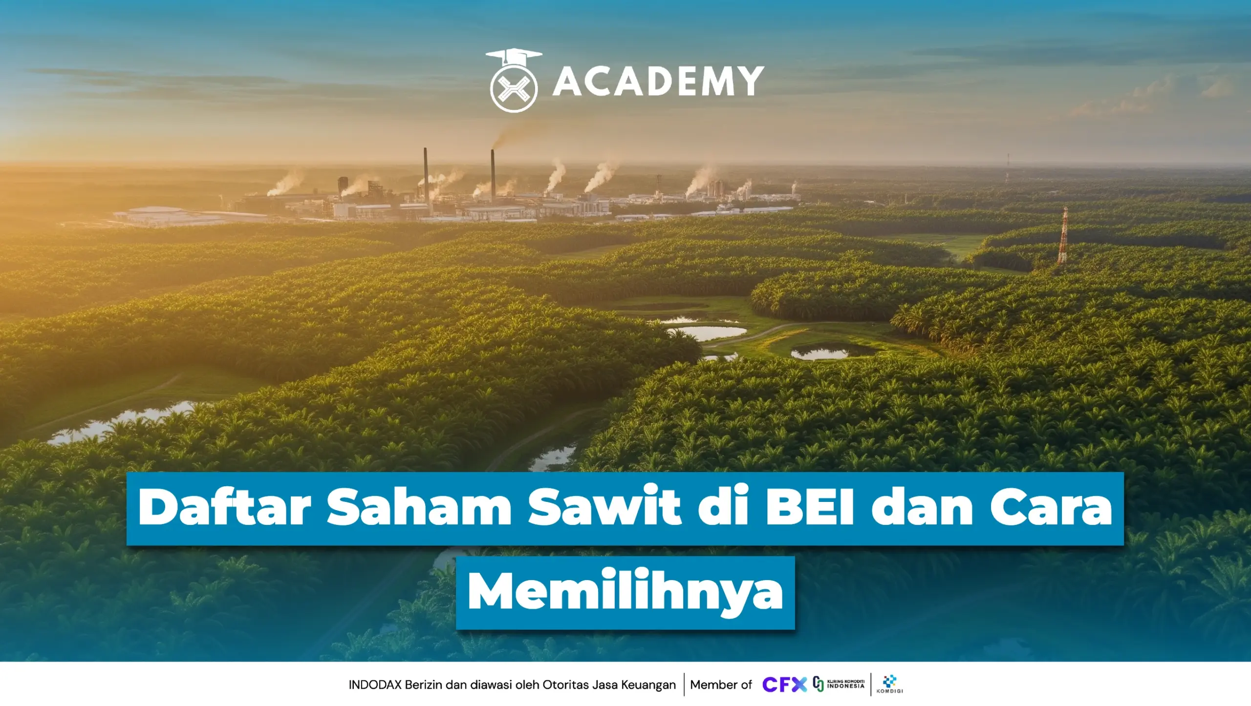 Saham Sawit Apa Saja? Ini Daftarnya 2026